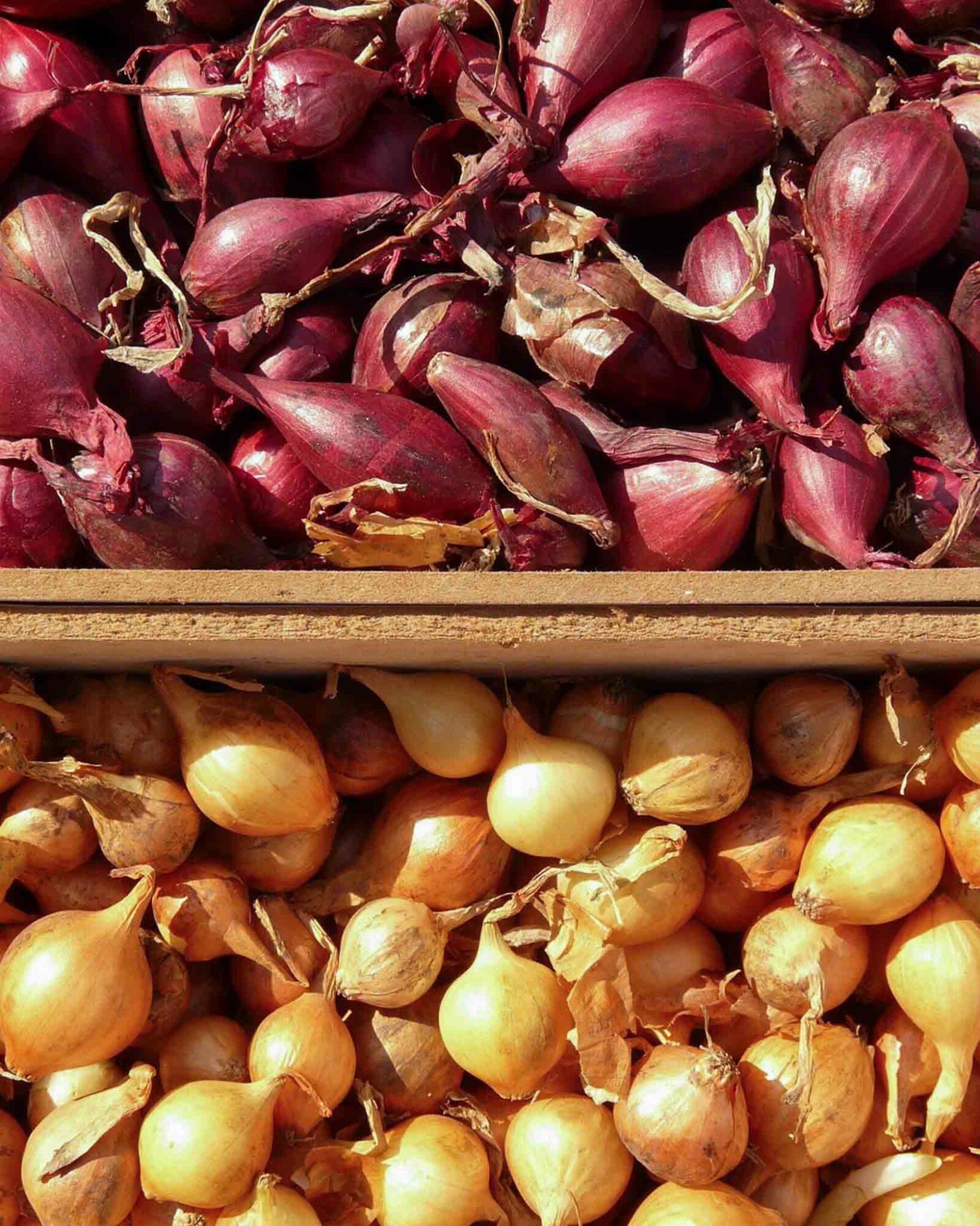 How To Freeze Shallots (Save Time + Reduce Waste)