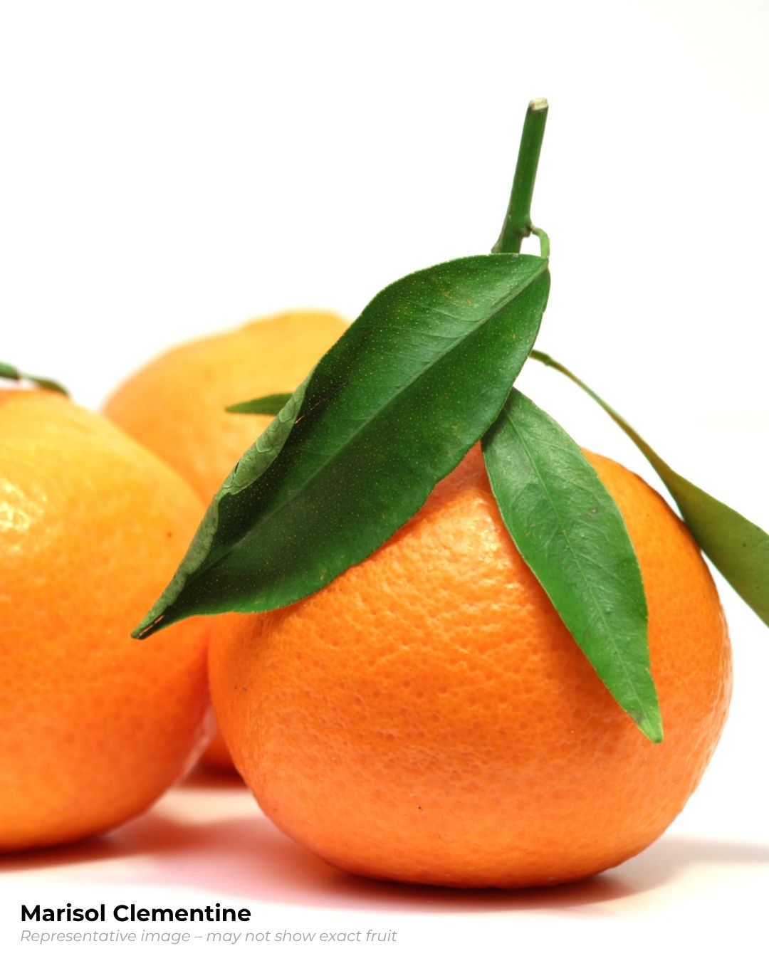 60 Fruits That Start With M (From Everyday to Exotic!)